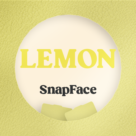 Retro Snap Interchangeable SnapFace - Lemon – Retro Snap Cameras Ltd